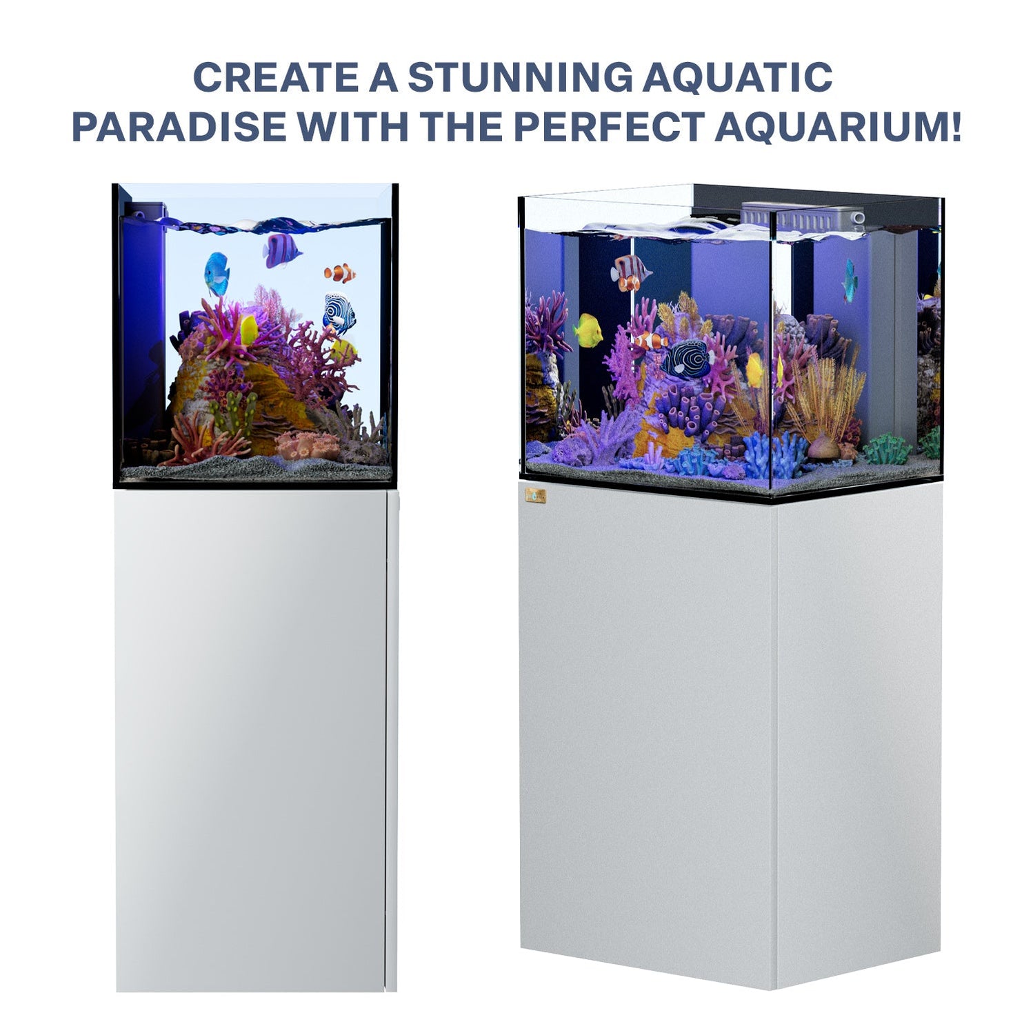 Aqua Dream 37-Gallon Coral Reef Aquarium: Ultra Clear Glass with Built ...