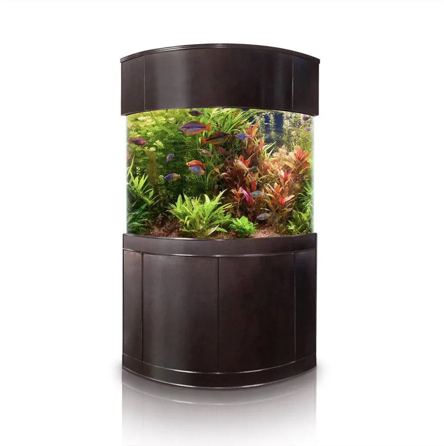 AQUA VIM 440g Corner 1/4 Cylinder Glass Aquarium Set in Walnut Wood Fu ...
